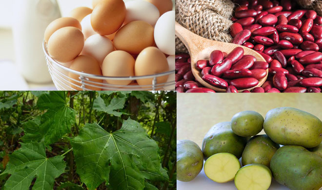 10 foods and liquids to consume during 'Chikungunya' | Lifestyle News ...