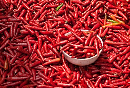 The new chilli extract painkiller can cure knee pain | Lifestyle News ...