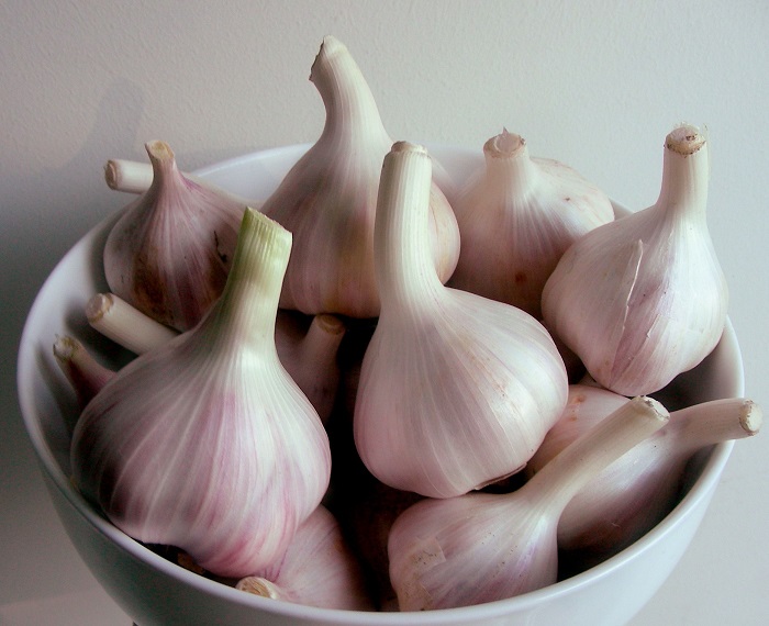 VIDEO: This is what happens when you eat garlic on empty stomach ...