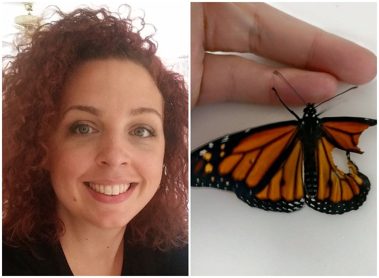 This woman repaired a broken wing of a dying butterfly and restored our ...