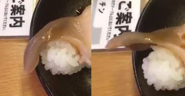 Bizarre video alert: Sushi shocks a diner by ‘coming alive and waving ...