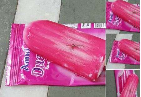 Insect found in Amul ice cream; FSSAI asks for report | India News ...