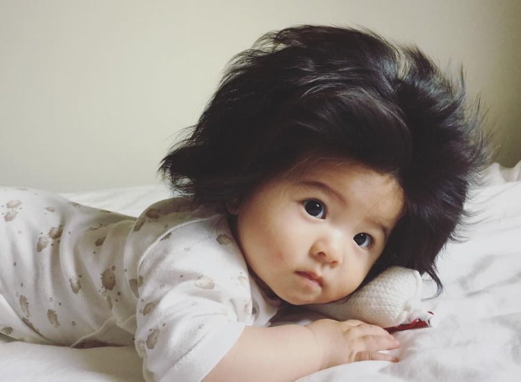 7-month-old Japanese baby Chanco's hair take internet by storm | Buzz ...