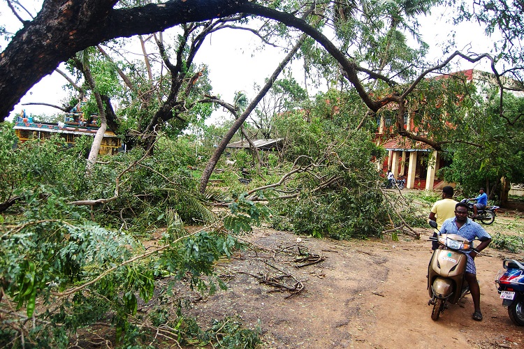 Cyclone Gaja: Death toll reaches 45; Palaniswami to visit affected ...