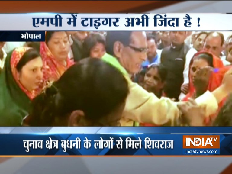 'Tiger abhi zinda hai': Former MP CM Shivraj Singh Chouhan assures ... 'Tiger abhi zinda hai': Former MP CM Shivraj Singh Chouhan assures ...