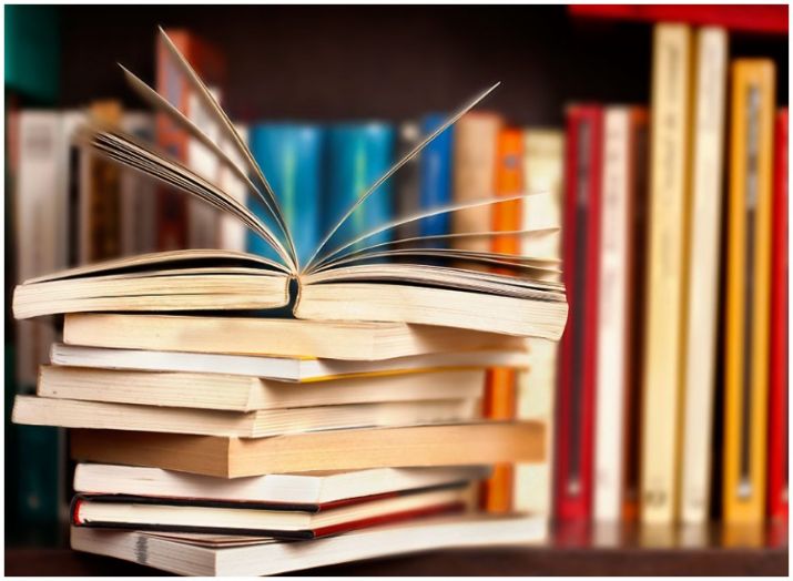 Hindi-English publishing collaborations to climb a notch higher ...