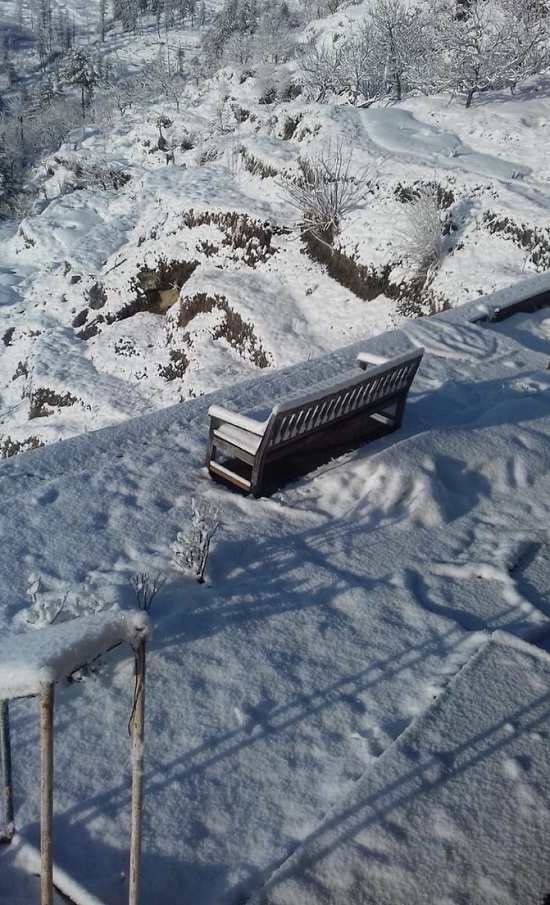 Biting cold continues in Himachal Pradesh after fresh snowfall, rain ...