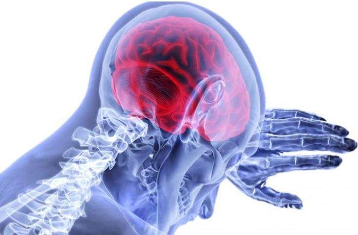 This is how Internet may be changing your brain | Science News – India TV