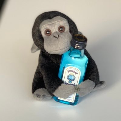 Alcoholic monkey becomes Elon Musk's Twitter picture | World News ...