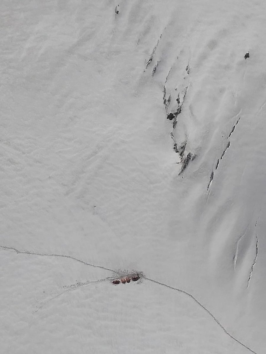 ITBP team successfully carries 7 mountaineers' bodies to lower base ...