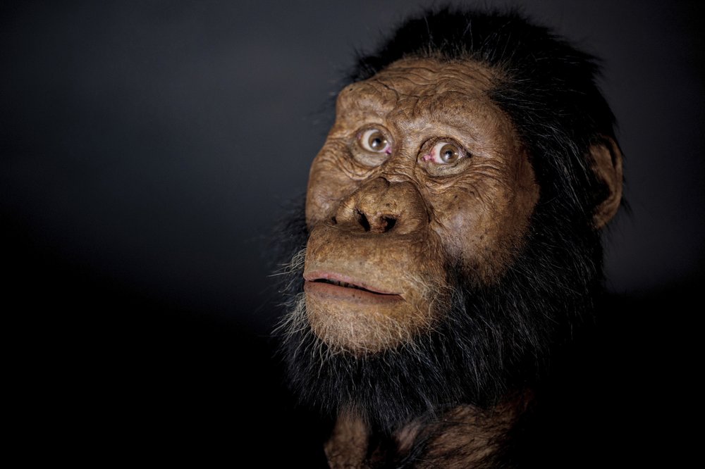Ethiopian fossil reveals face of 'Lucy' ancestor who lived almost 4 ...