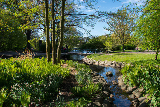 Why should people live near green spaces? | Lifestyle News – India TV