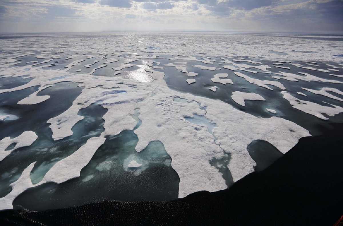 Arctic ocean may be invaded by microbes from tropics, affecting ...