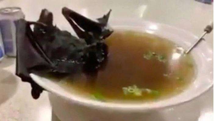Coronavirus outbreak: Is bat soup responsible? | World News – India TV