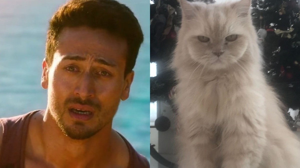 Tiger Shroff's cat passes away, Baaghi 3 actor shares an emotional post ...