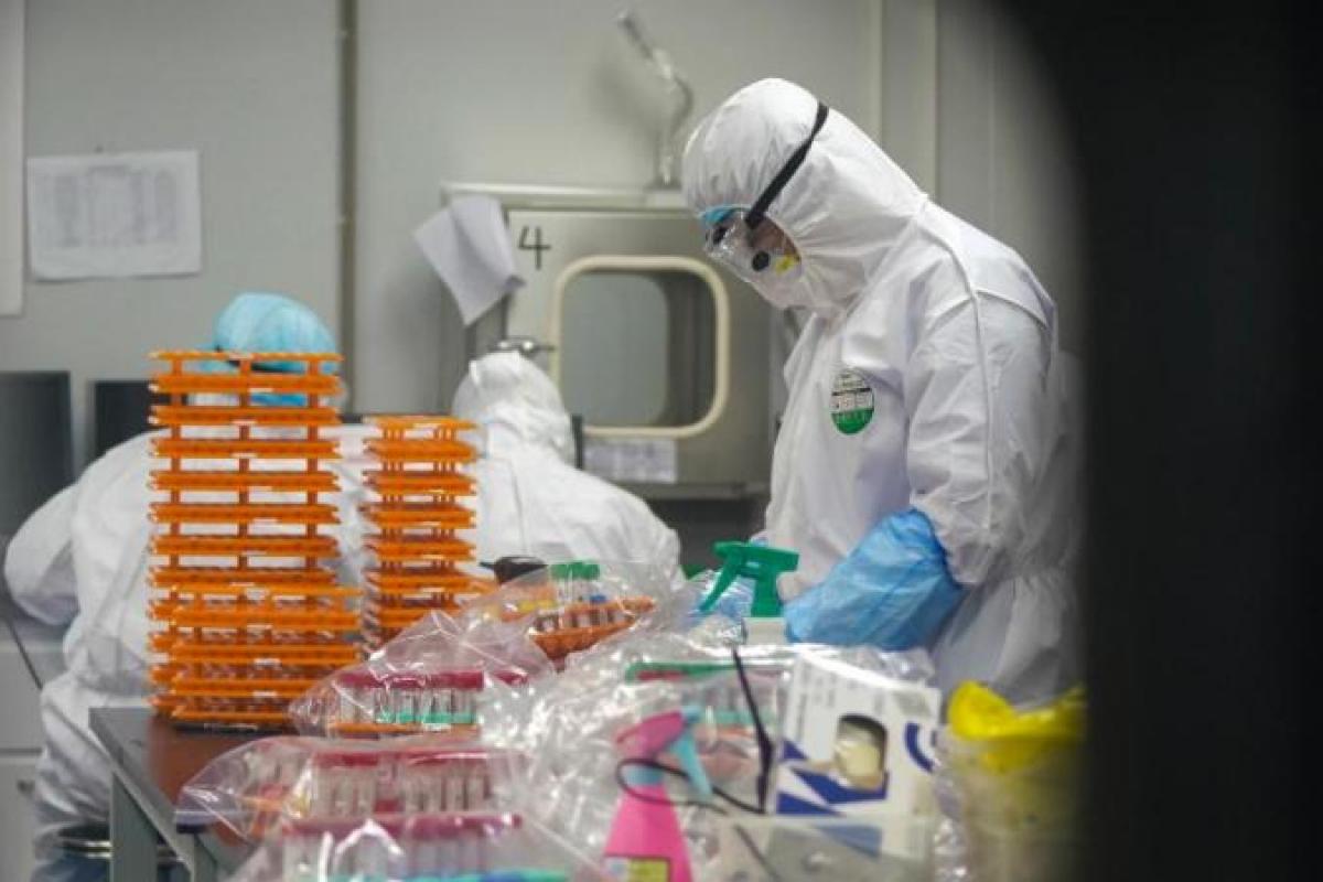 Use rapid test kits for surveillance purpose, RT-PCR test a must: ICMR ...