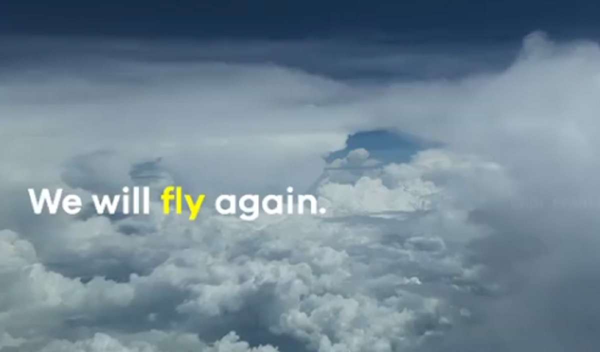 We Will Fly Again: Indigo pilot shares heartfelt video during ...