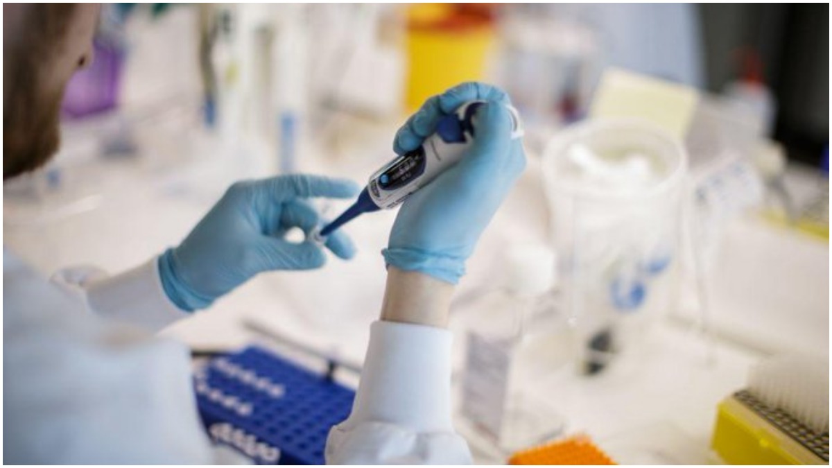 Oxford University's COVID-19 vaccine test on monkeys shows promise ...
