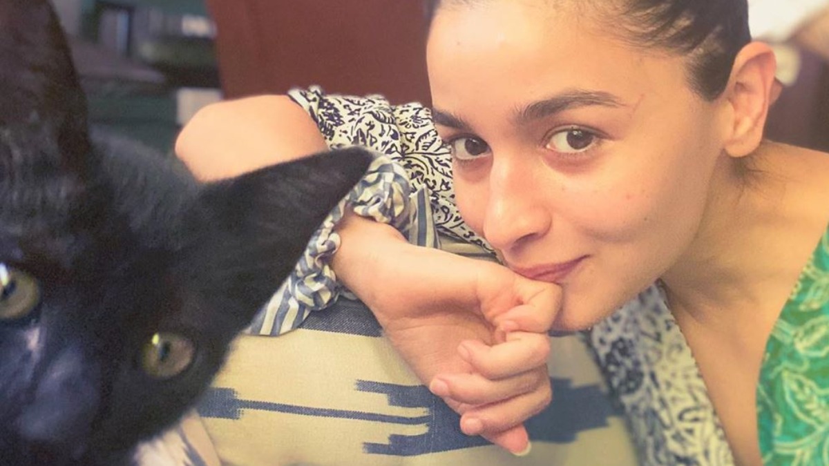 Alia Bhatt welcomes new cat Juniper, shares adorable photo of 'girl ...