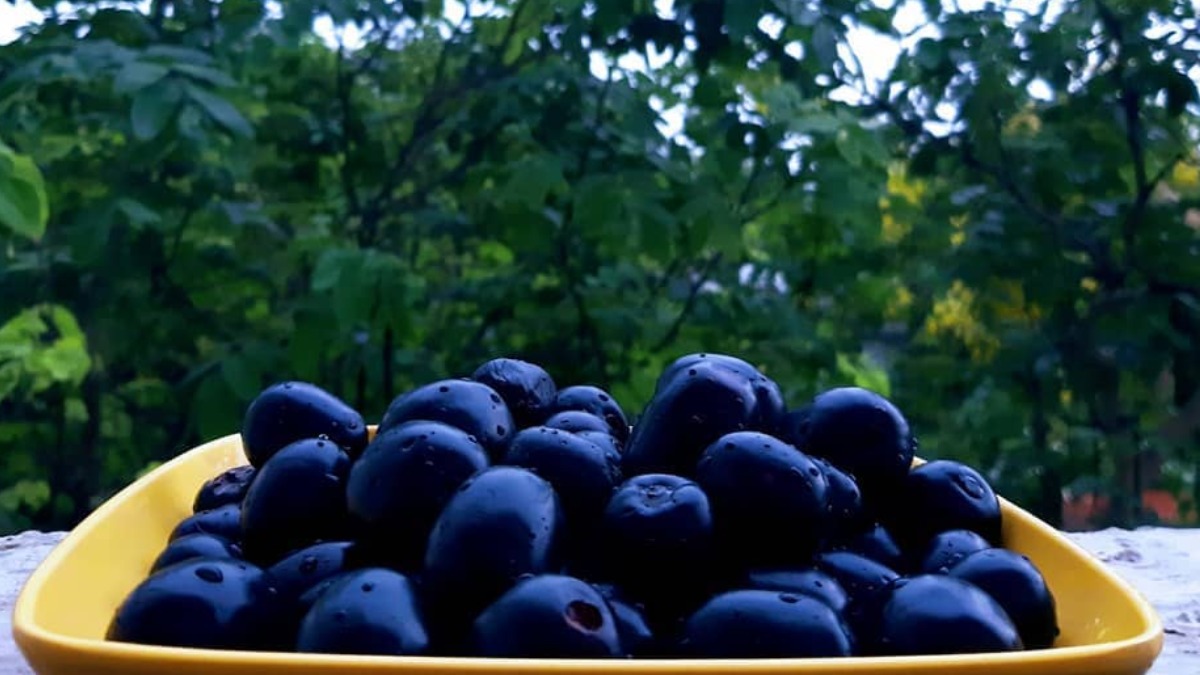 A fruitful monsoon diet! | Food News – India TV