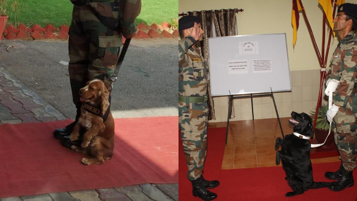 Mann ki Baat: PM Modi hails Army dogs Sophie and Vida; says Indian ...