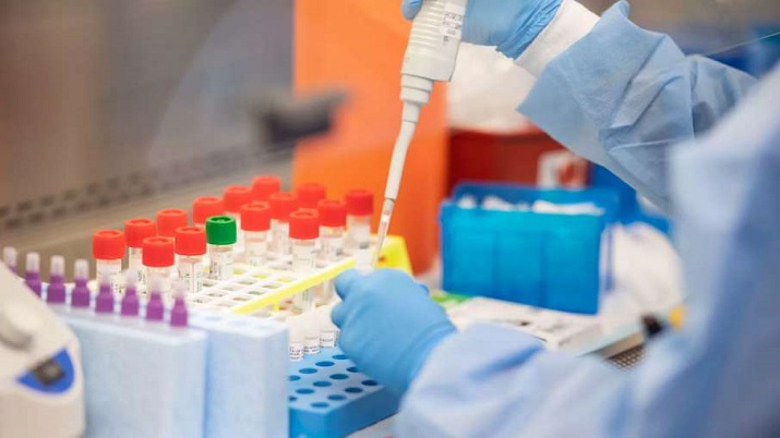 Scientists reveal potential of swine coronavirus jumping from animals to humans | Science News ...