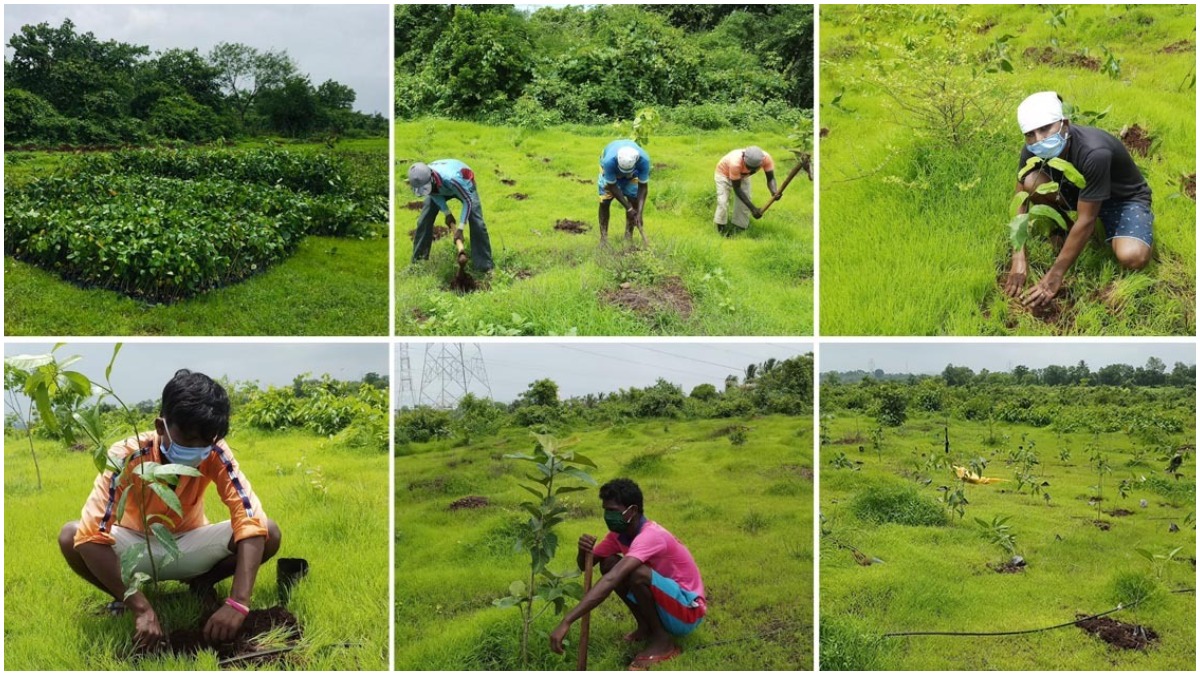 World Environment Day 2021: Awareness and action are needed to restore the ecosystem | Lifestyle ...