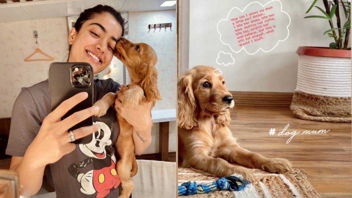 National Crush Rashmika Mandanna shares glimpse of her new house with ...