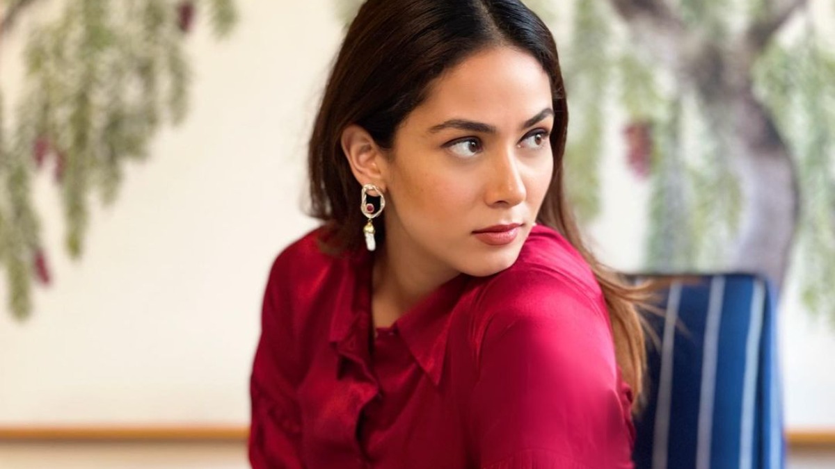 Mira Rajput redefines elegance in latest Instagram post, says 'Looking ...