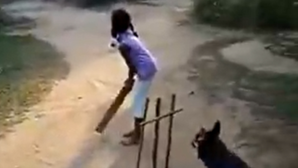 Sachin Tendulkar shares video featuring dog & children playing cricket ...