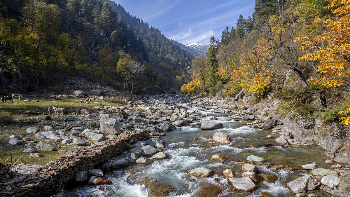 Srinagar joins UNESCO creative cities network | India News – India TV