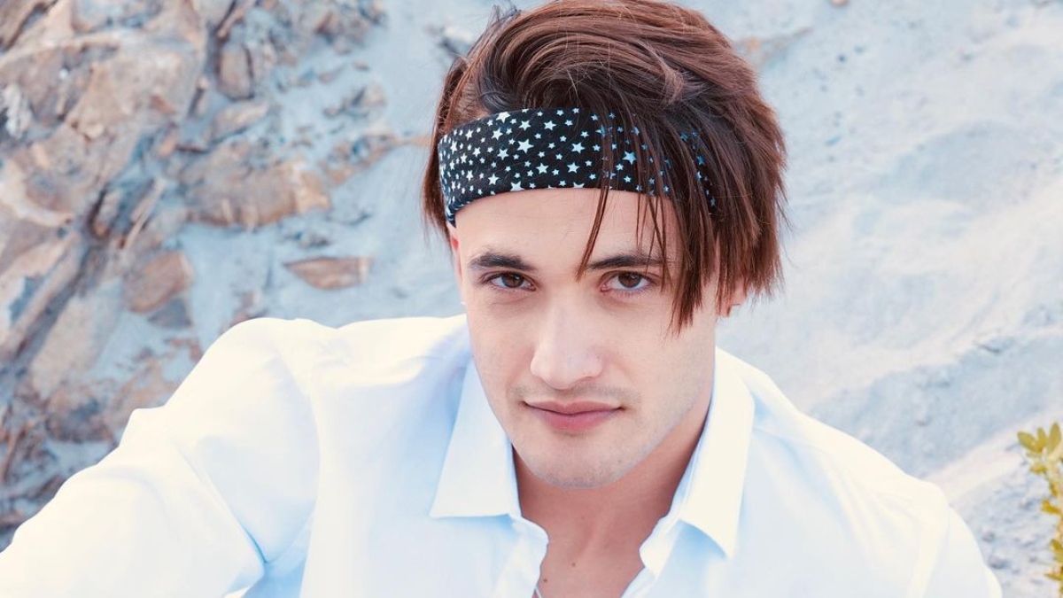 Stop targeting: Asim Riaz issues clarification after Shehnaaz Gill's ...