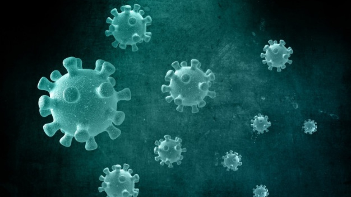 Lethal 'NeoCov' only 1 mutation away from infecting humans: Scientists ...