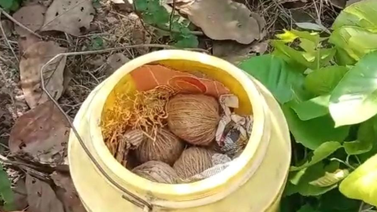 West Bengal: 30 crude bombs recovered in Birbhum | India News – India TV