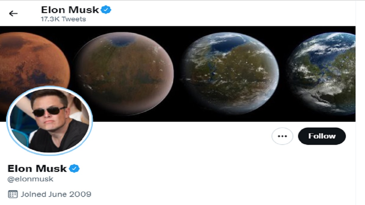 Elon Musk In Trouble Again Sued By Twitter Shareholders India Tv