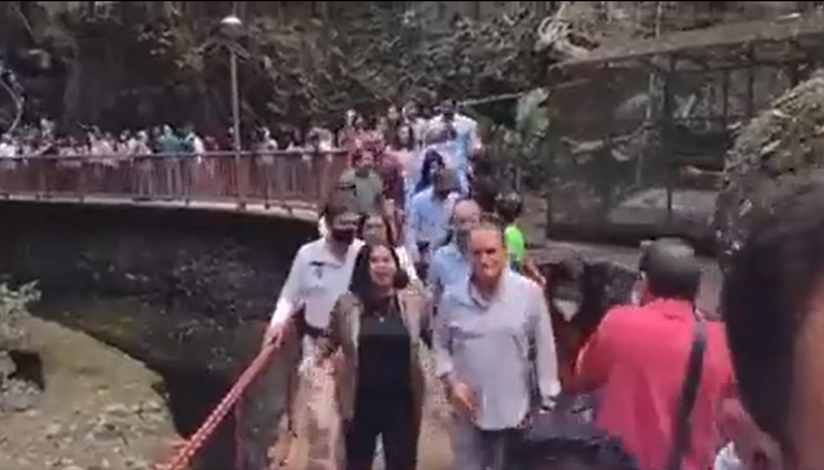 Mexican footbridge collapses during inaugural ceremony by mayor; locals ...