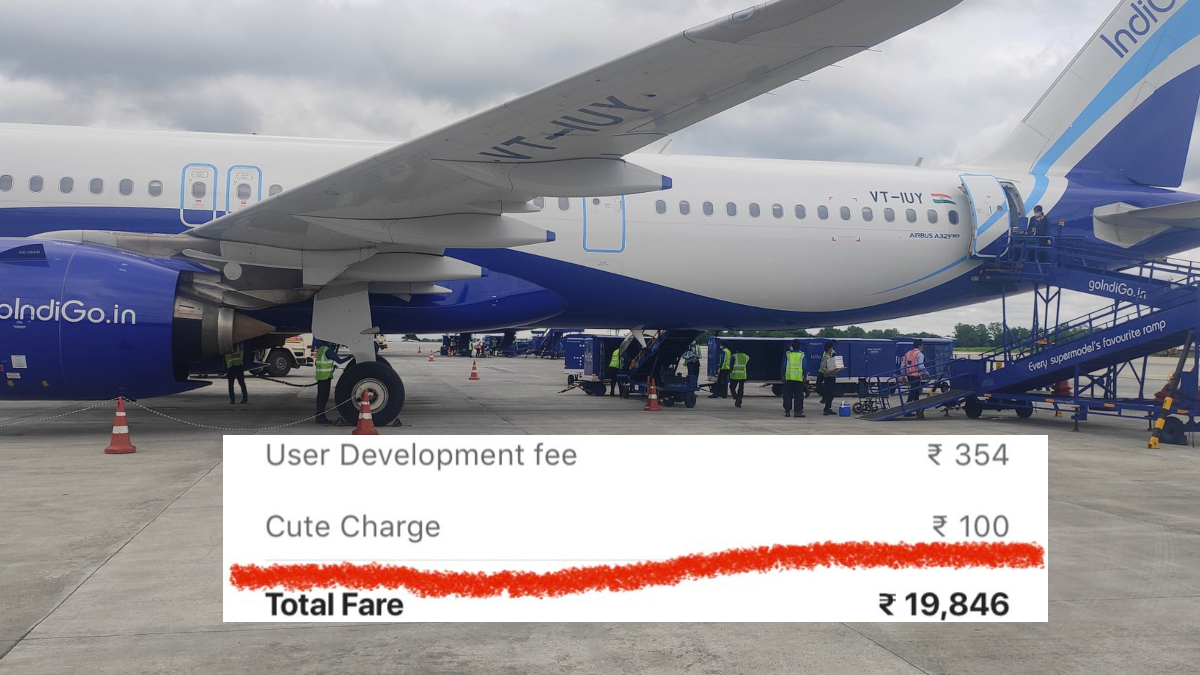 Cuteness comes at a cost! Indigo levies 'cute charge' from passenger ...