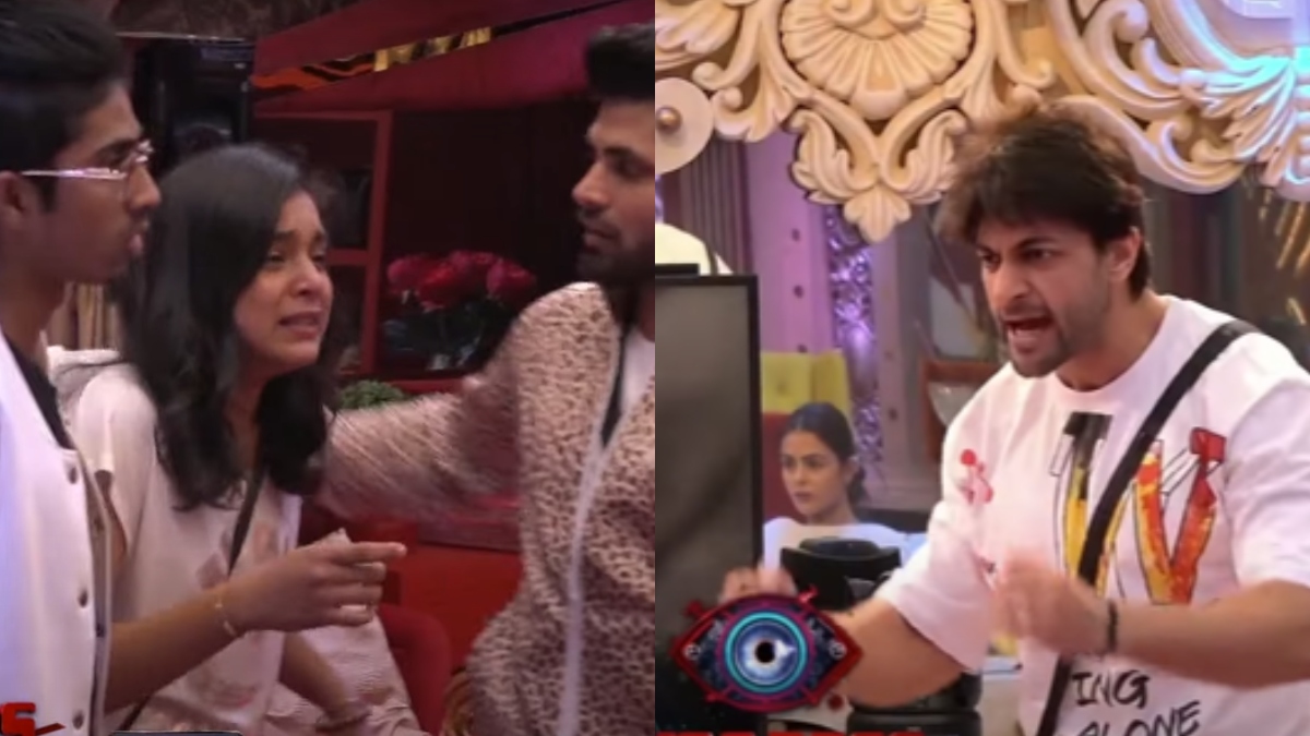 Bigg Boss 16, Nov 24 HIGHLIGHTS: Shalin-Tina get reality check after ...