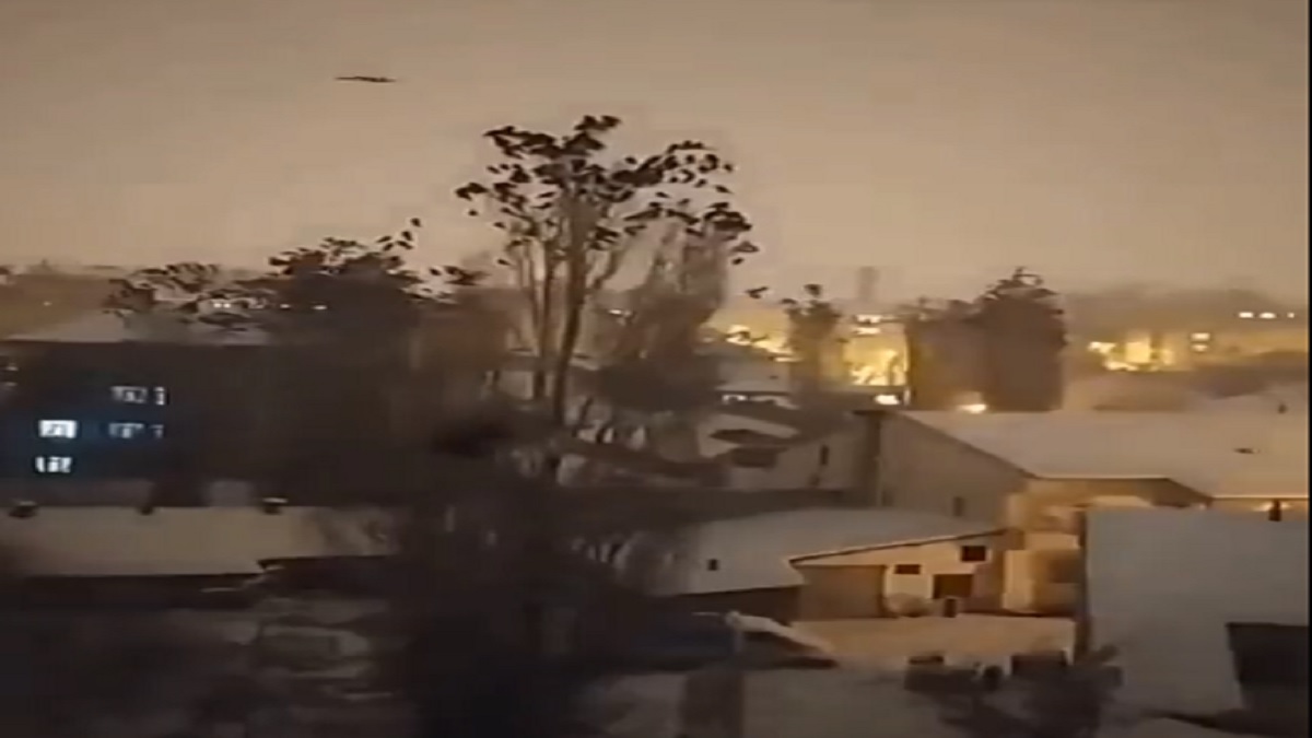 Turkey: Video shows birds flying chaotically 'just before earthquake ...