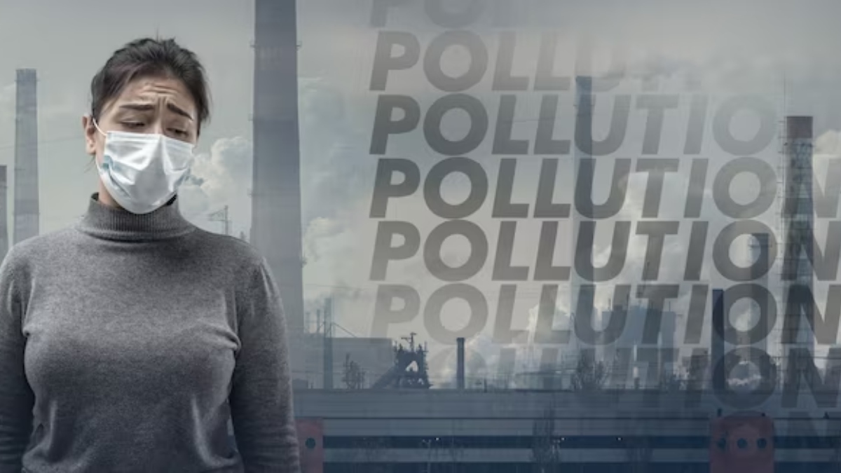 Why Air Pollution Is Linked To Lung Cancer Pulmonary Fibrosis And More