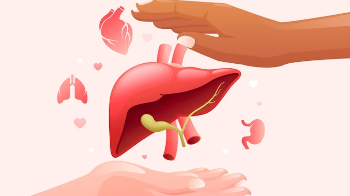 New liver dialysis device proved safe and effective for treating severe ...