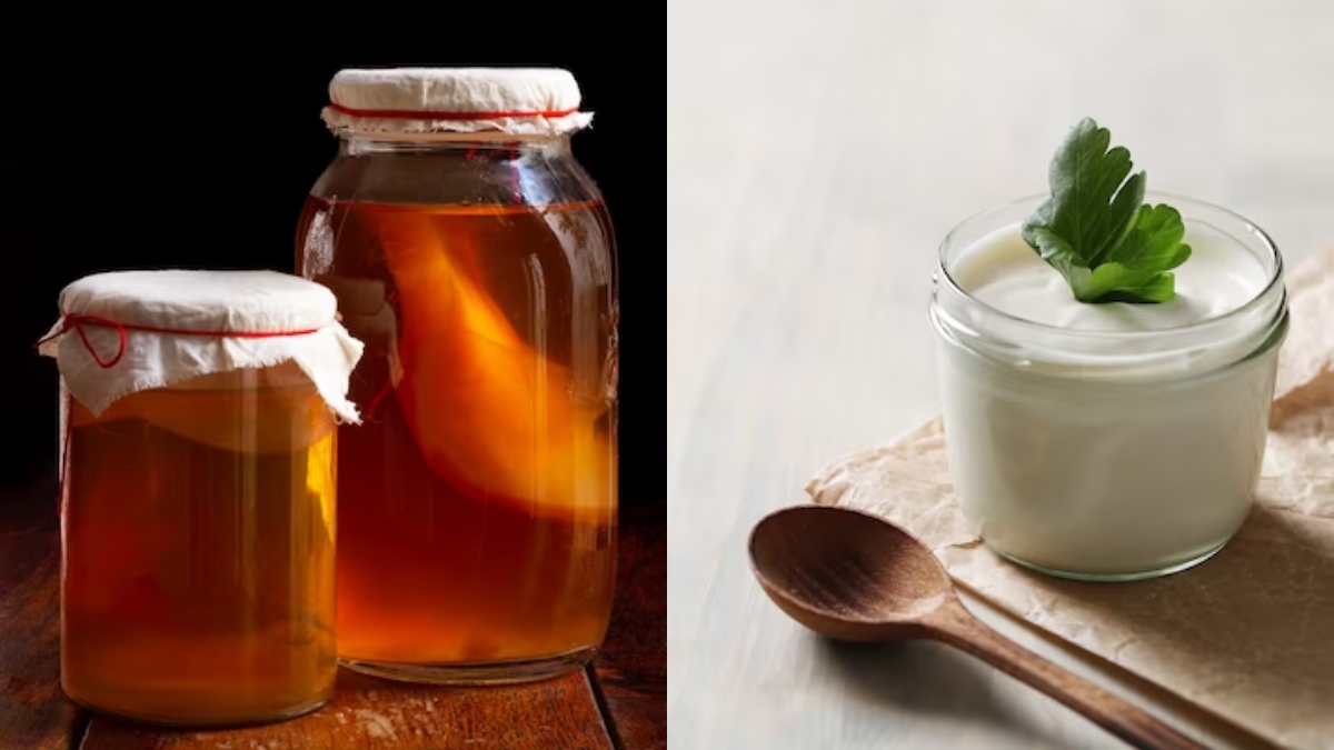 Kombucha to Yoghurt: 5 must-try fermented foods for a healthy gut | Health News – India TV