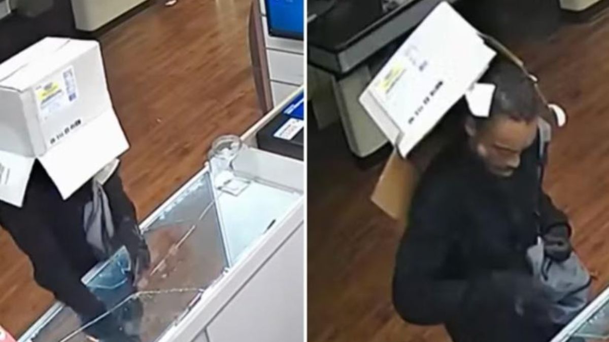 Thief puts box on his head to rob phone store but makes this silly ...