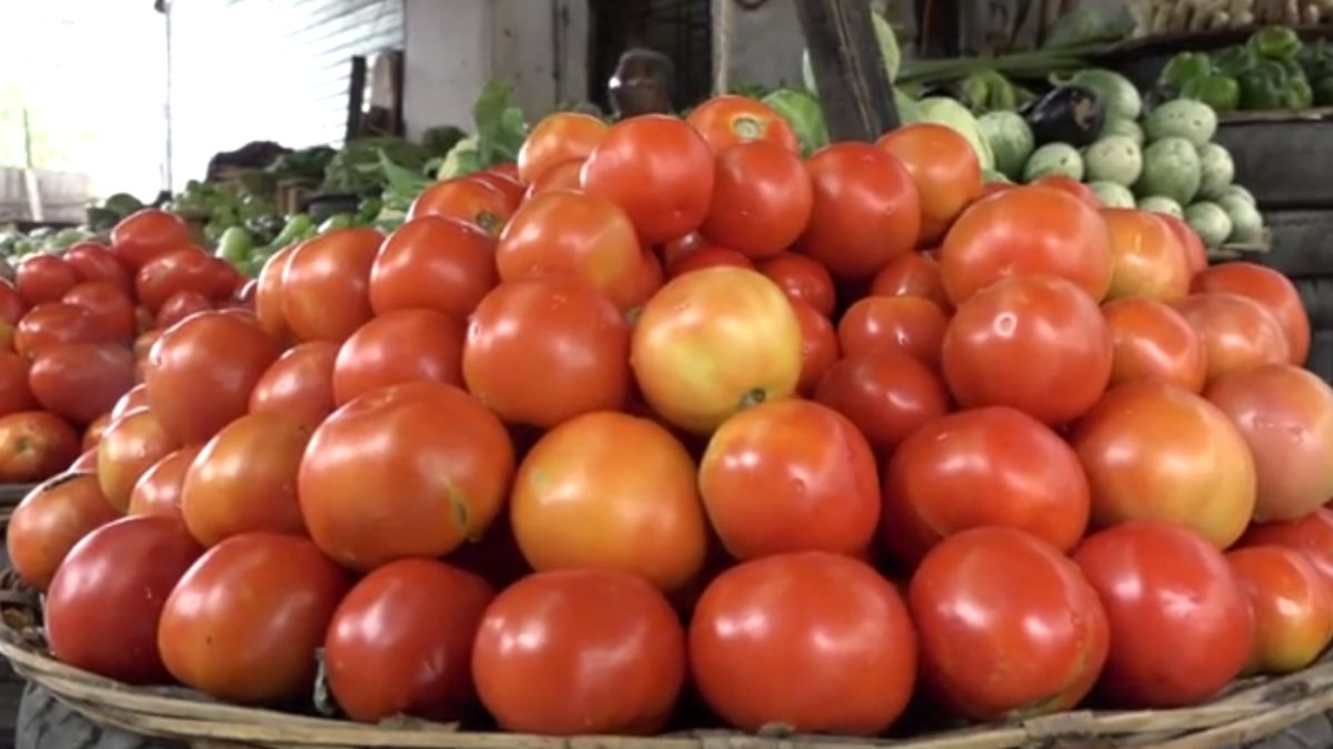 Tomato prices skyrocket in Uttarakhand; Rs 250/kg in Gangotri Dham, Rs 180 to 200/kg in ...