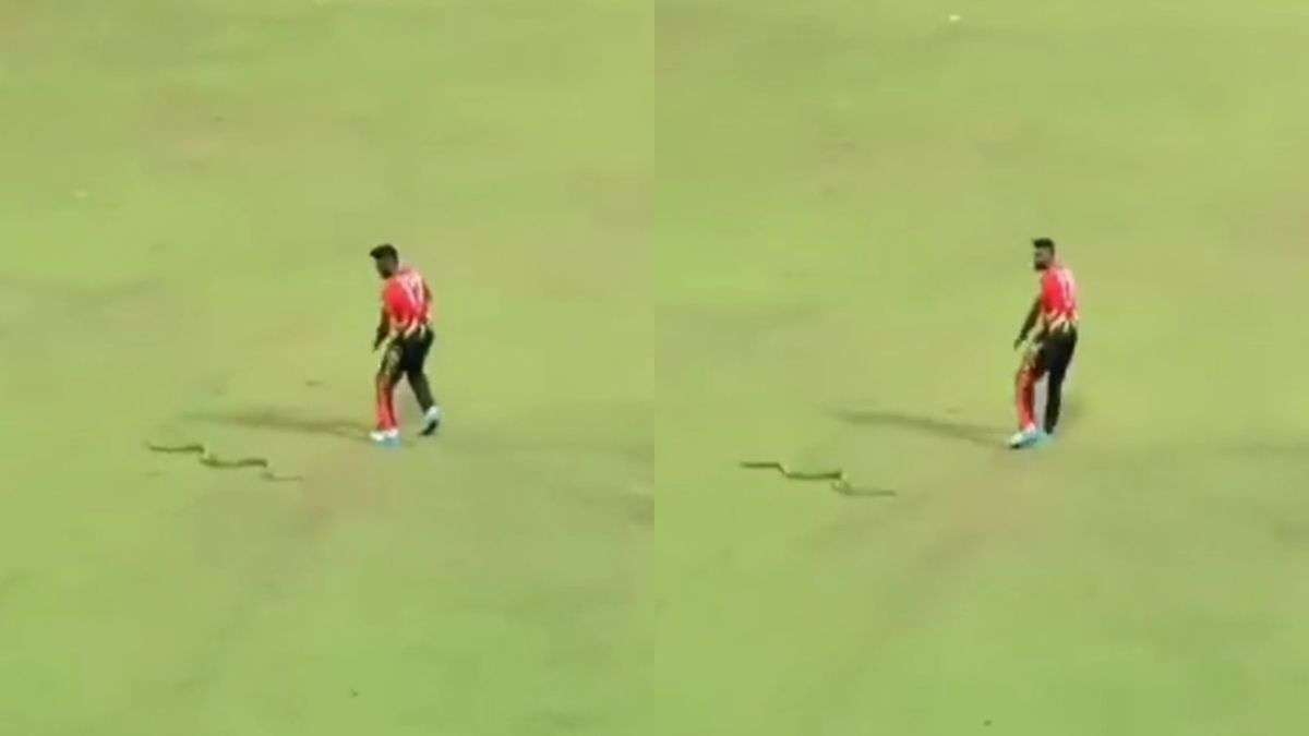 WATCH: Snake appears yet again in Lanka Premier League; pacer Isuru ...