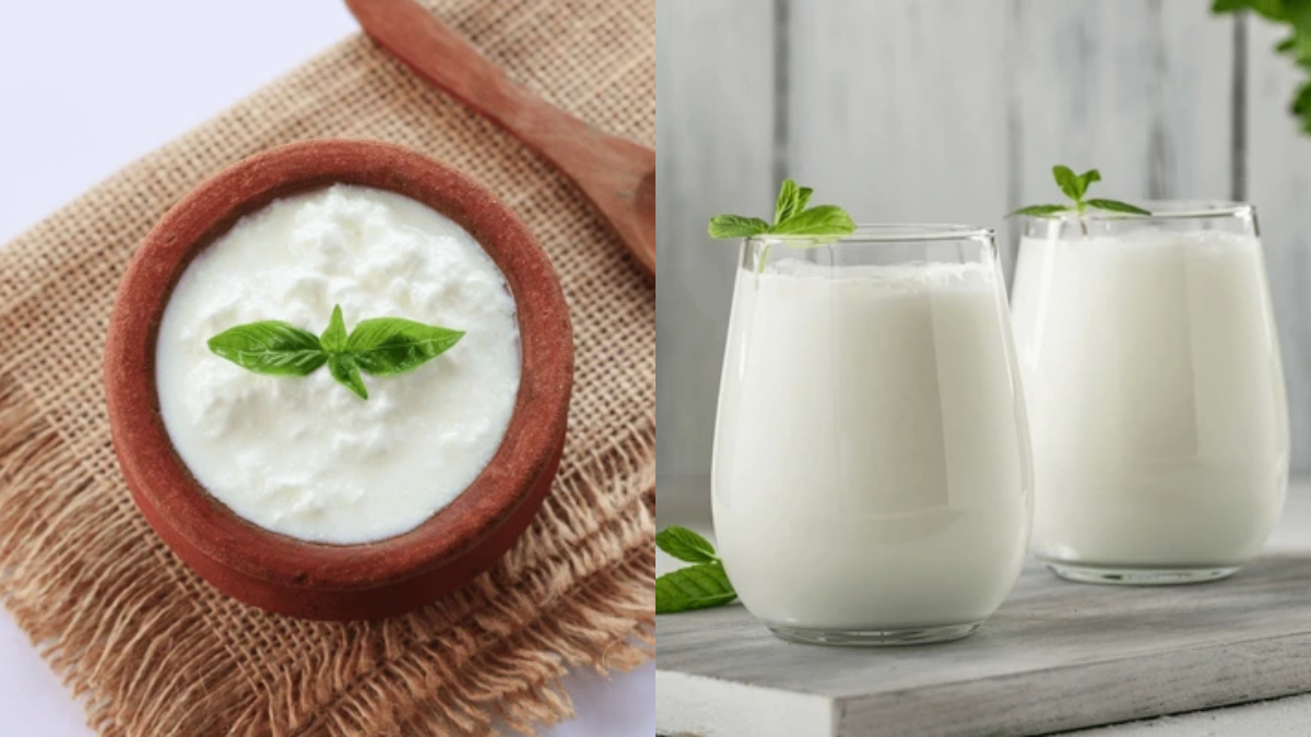 Curd vs Buttermilk: Which is good for your health? | Food News – India TV