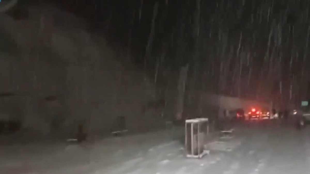 Watch | 300 tourists, stranded near Atal Tunnel due to snowfall ...