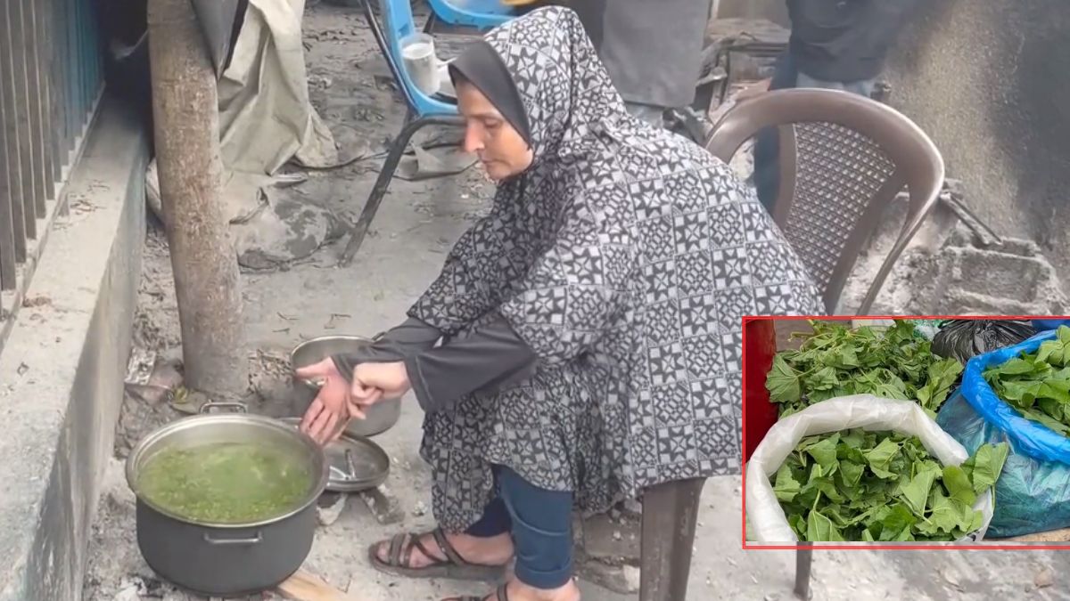 'We put our lives in danger, but...': Gaza residents resort to eating ...