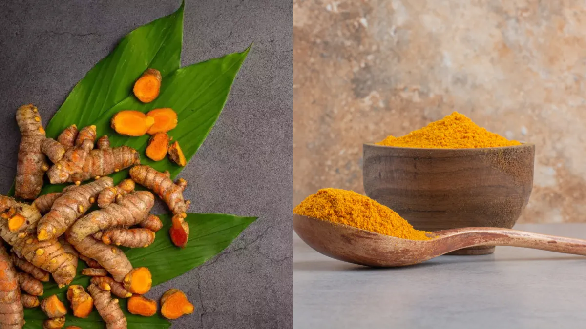 Raw Turmeric vs Turmeric Powder: Which is healthier? | Food News – India TV