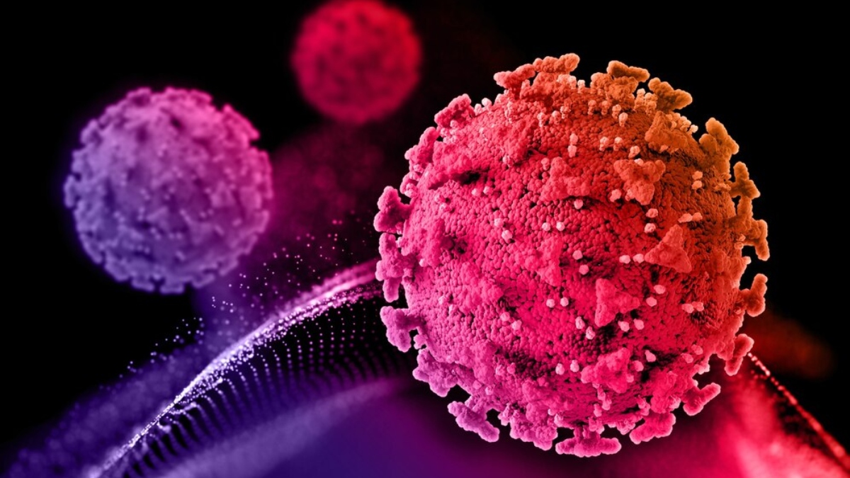 HPV Awareness Day 2024: What is HPV and why is it important to be aware ...